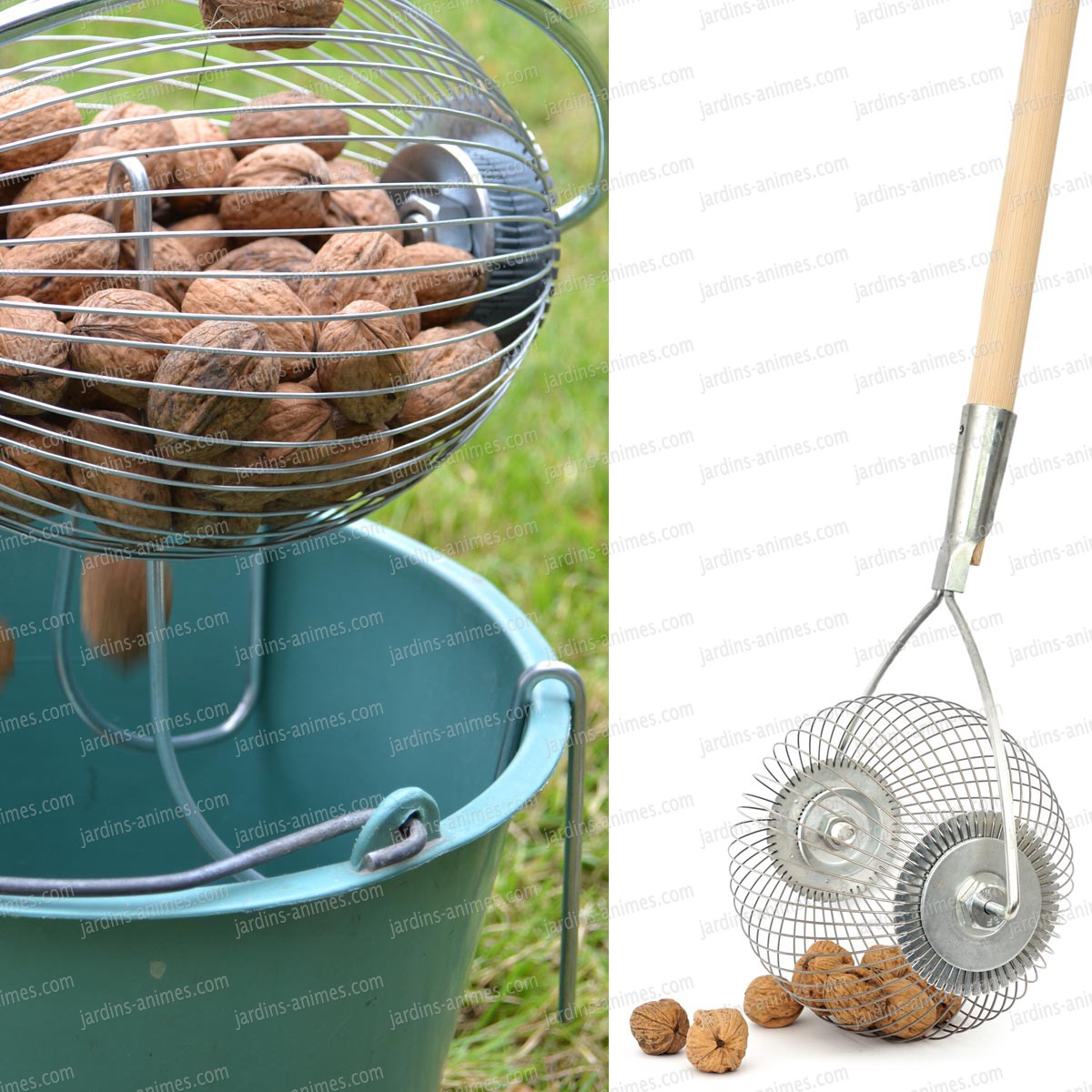 Rouleau ramasse noix, chataigne, marron et gland - Récolter les fruits