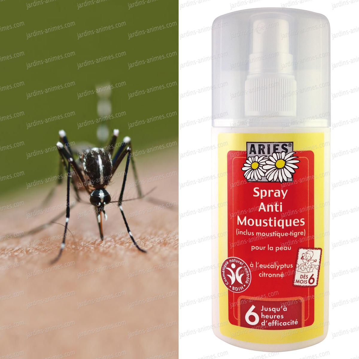 Anti moustique Spray 100ml - Anti Guepe et Moustiques Bio